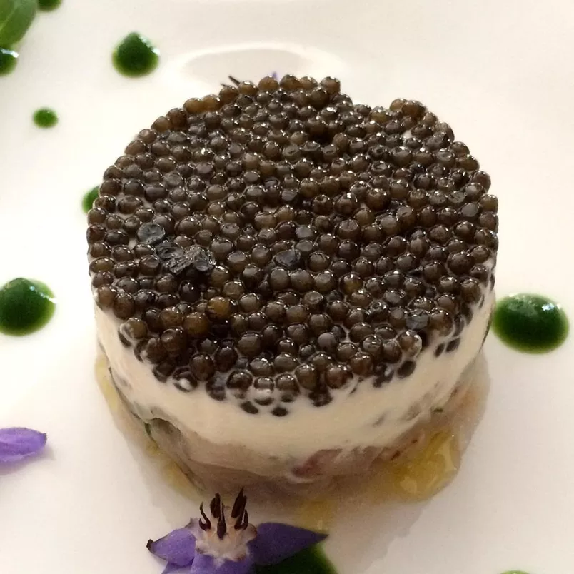 Hélène Darroze, Cyril Lignac, Alain Ducasse...Les meilleures recettes ... Hélène Darroze, Cyril Lignac, Alain Ducasse...Les meilleures recettes ...