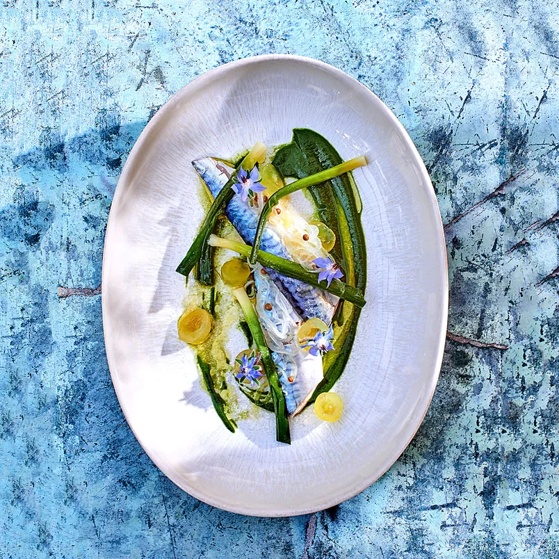 Hélène Darroze, Cyril Lignac, Alain Ducasse...Les meilleures recettes ... Hélène Darroze, Cyril Lignac, Alain Ducasse...Les meilleures recettes ...