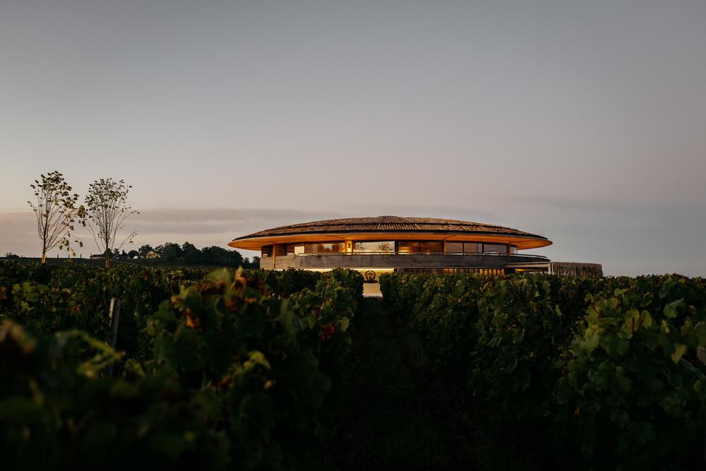 Jonathan Maltus, une ambition bien cultivée