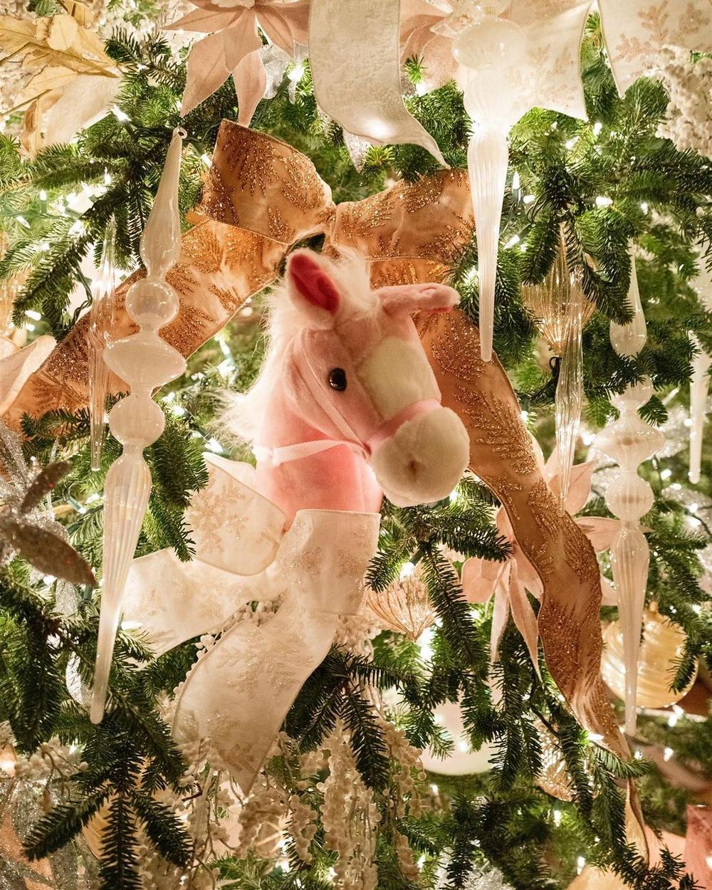 Phoebe, 20 ans, benjamine engagée de Bill et Melinda Gates