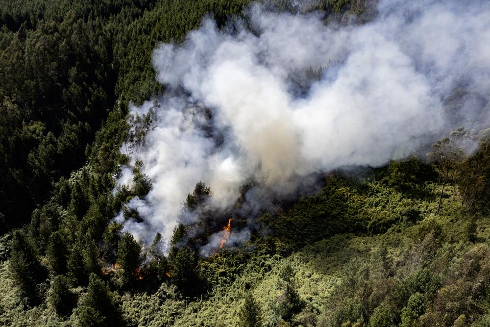 La Colombie en proie aux flammes, Bogota appelle à l'aide internationale