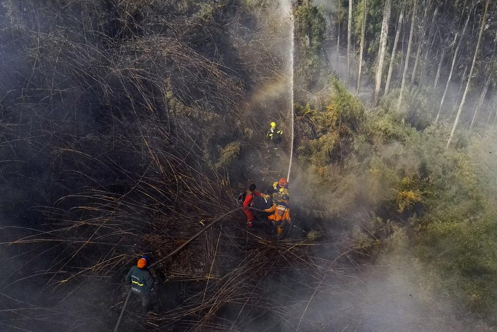 La Colombie en proie aux flammes, Bogota appelle à l'aide internationale