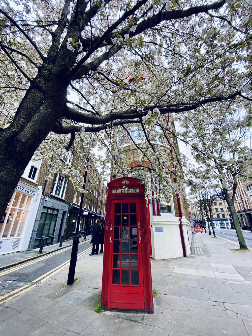 Green London : les clés d’une escapade verte et gourmande à Londres