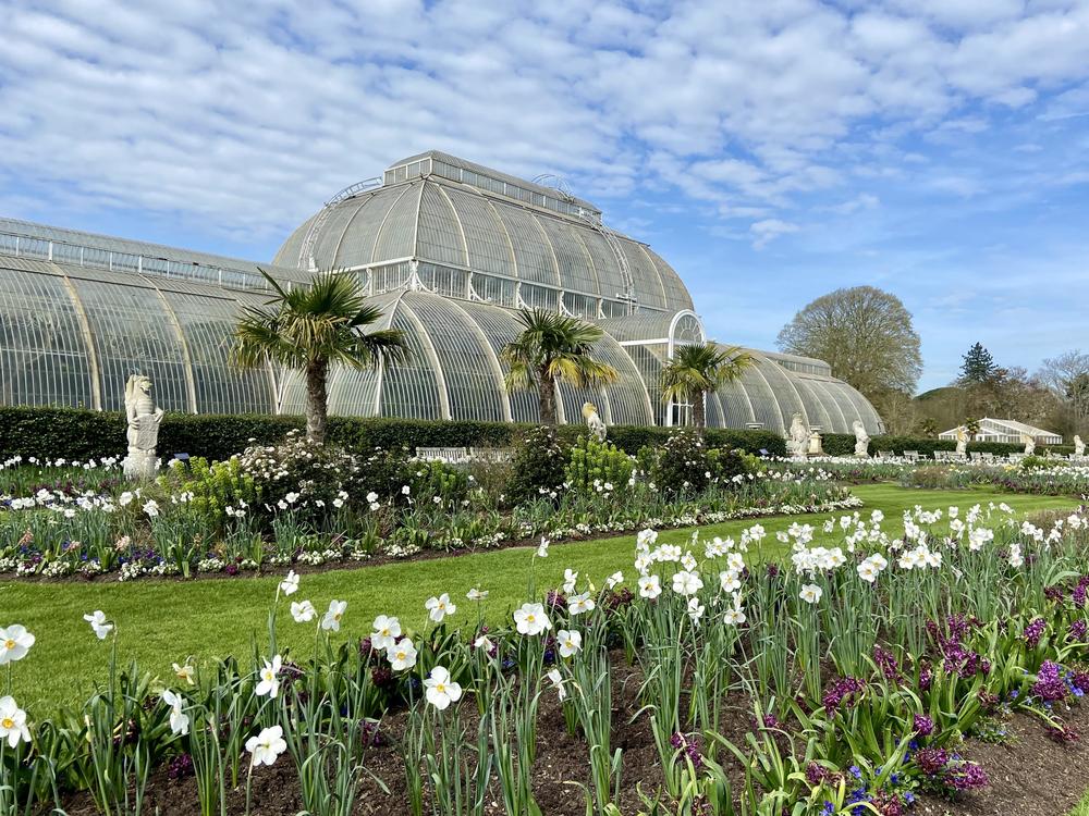 Green London : les clés d’une escapade verte et gourmande à Londres