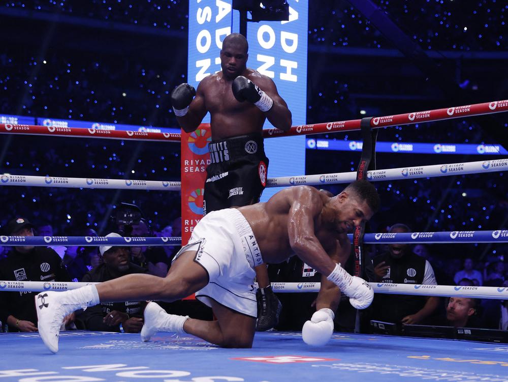 Boxe : un combat Tony Yoka-Anthony Joshua d’ici la fin de l’année