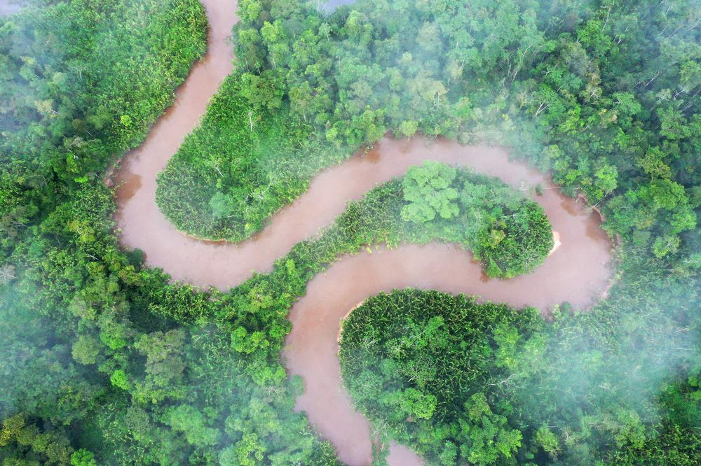 Poisson blob et souris amphibie : de fascinantes découvertes au cœur de ...