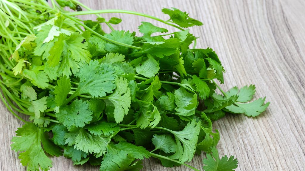 Coriandre recettes traditionnelles : sublimez vos plats