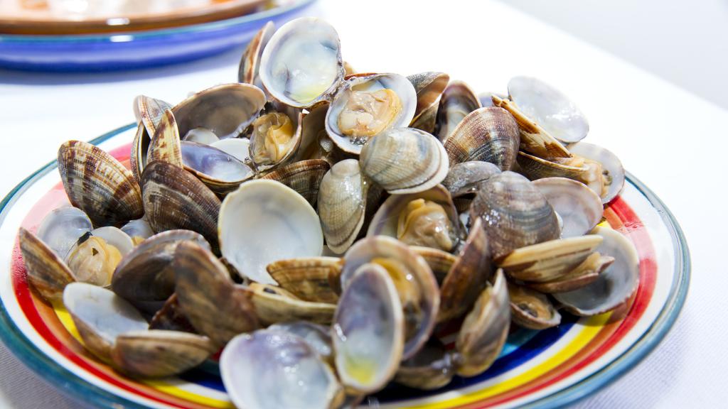 Palourde recettes traditionnelles : sublimez vos plats
