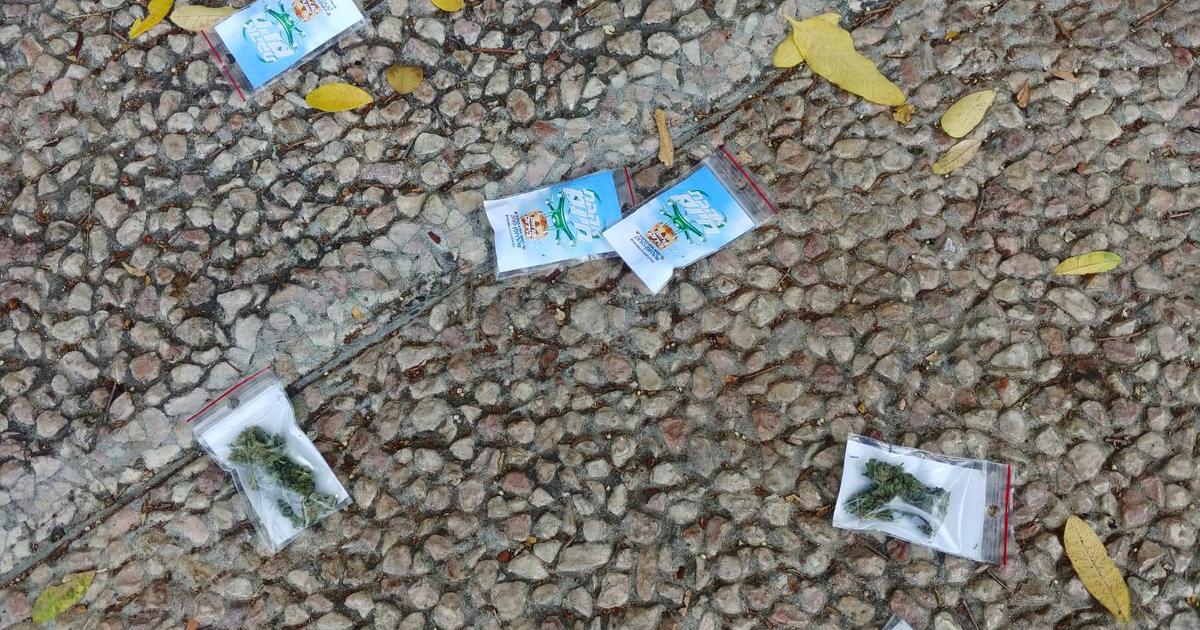 Israël : des sachets de cannabis tombent du ciel