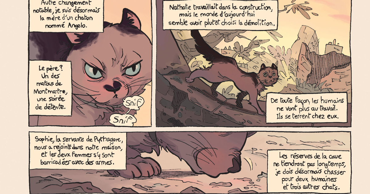 Bernard Werber : «La version BD de Demain les chats a offert une tête à ...