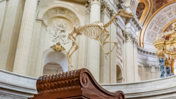 Pascal Convert et le cheval de Napoléon: «Je travaille sur le sacré ...