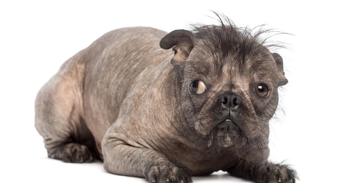 Complexes ordinaires ou dysmorphophobie : comment faire la différence