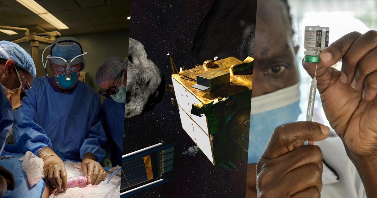 Ces découvertes scientifiques qui ont marqué l'année