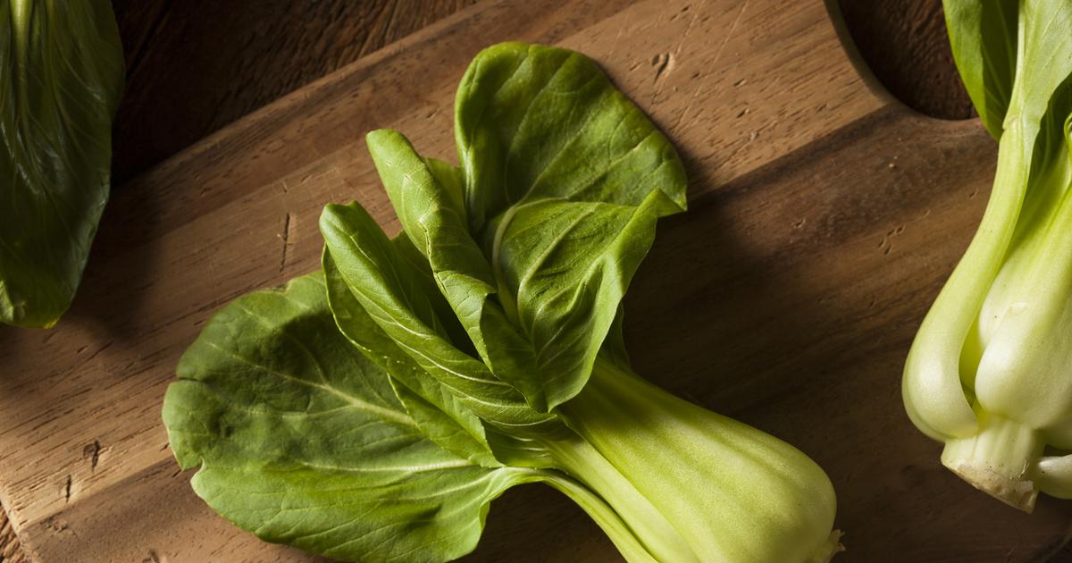 Chou chinois recettes traditionnelles : sublimez vos plats