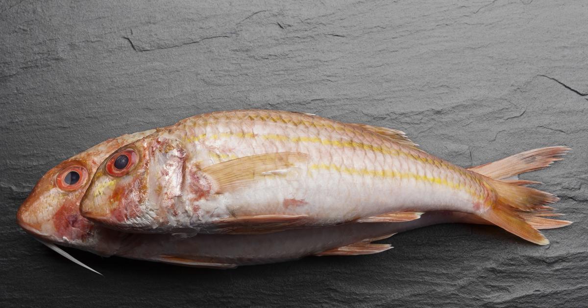 Rouget recettes traditionnelles : sublimez vos plats