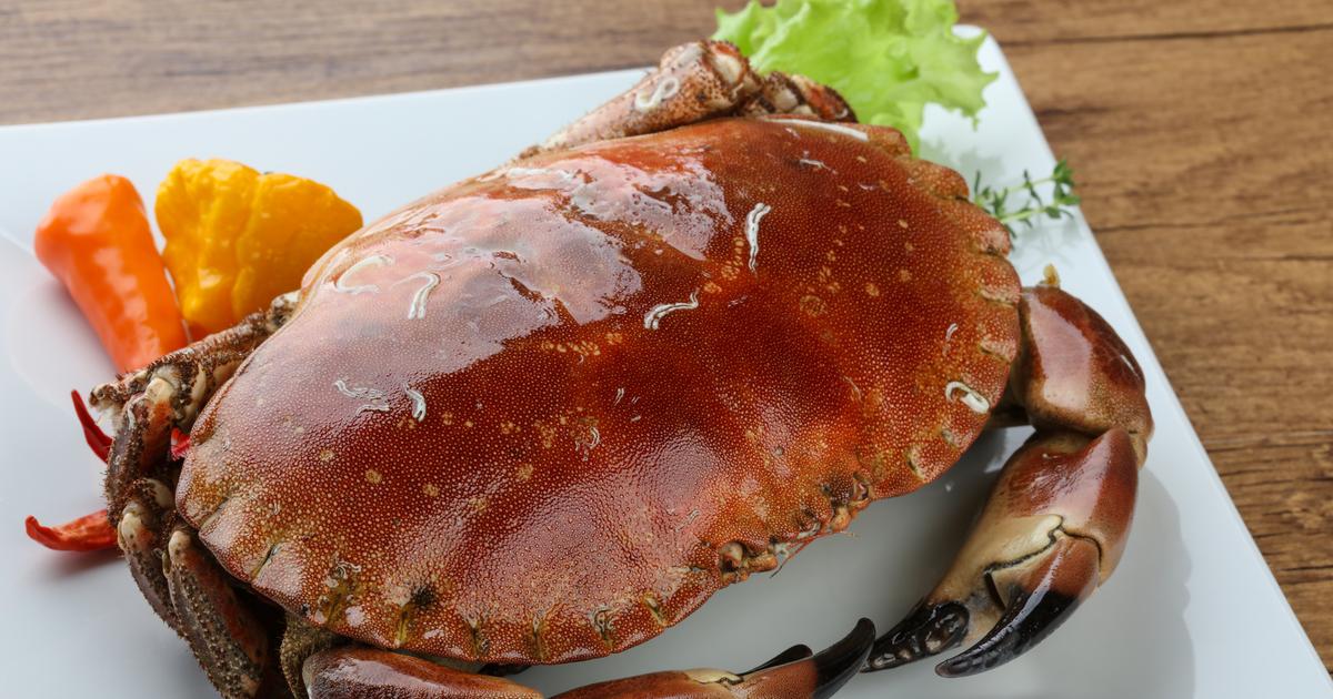 Tourteau recettes traditionnelles : sublimez vos plats