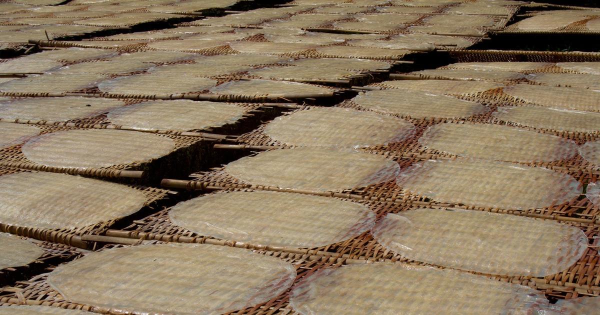 Feuille de riz recettes traditionnelles : sublimez vos plats