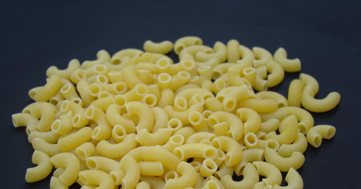 Coquillette recettes traditionnelles : sublimez vos plats