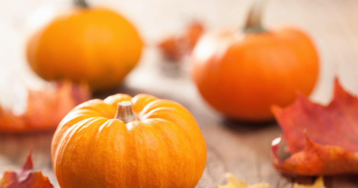 Potiron recettes traditionnelles : sublimez vos plats