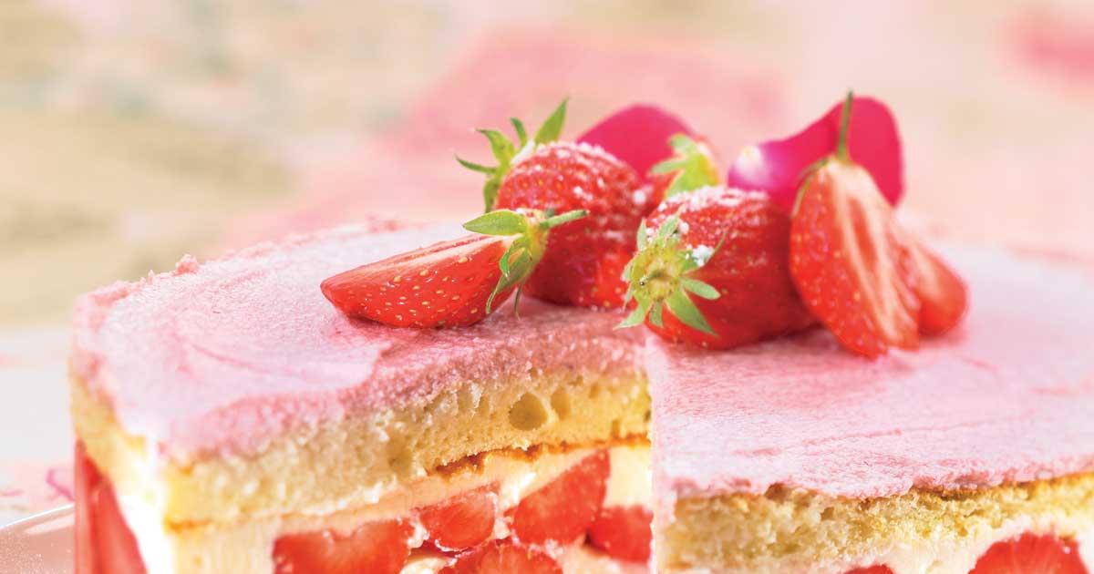 Fraisier à la rose