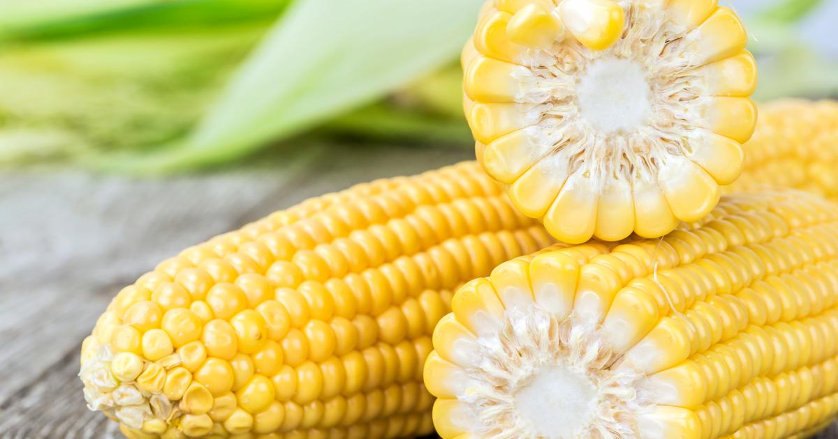 Maïs recettes traditionnelles : sublimez vos plats