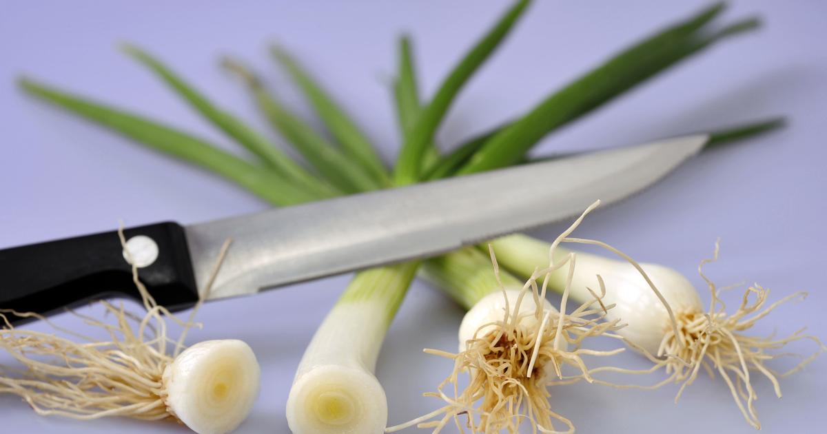 Ciboule recettes traditionnelles : sublimez vos plats