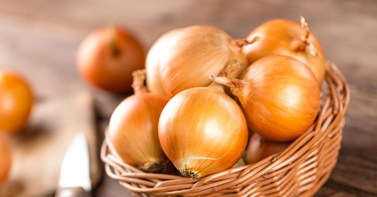 Oignon recettes traditionnelles : sublimez vos plats