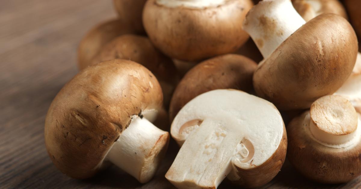 Champignon recettes traditionnelles : sublimez vos plats