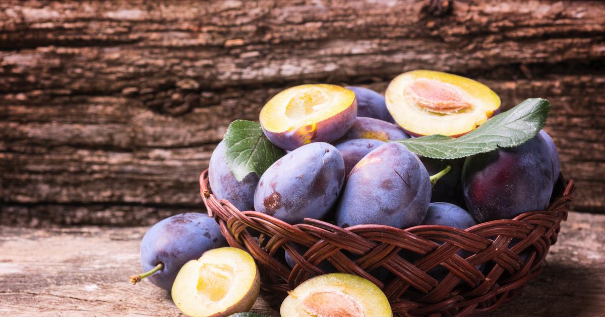 Quetsche recettes traditionnelles : sublimez vos plats