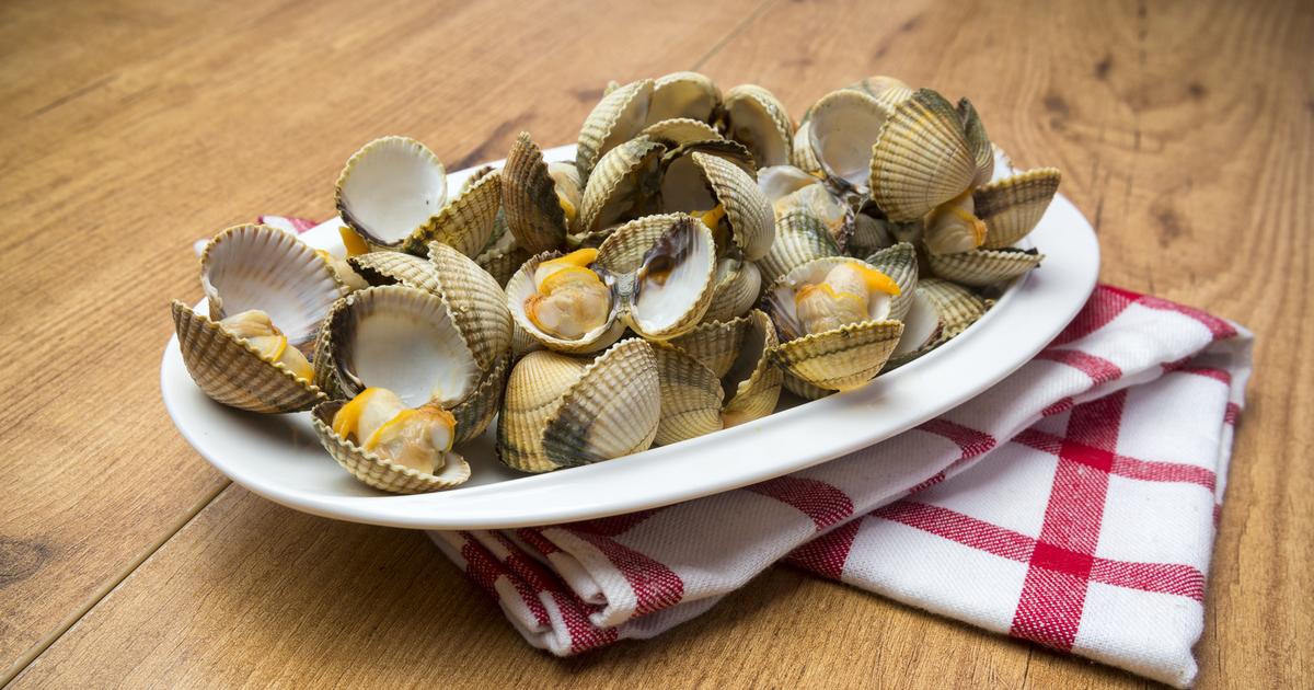 Coque recettes traditionnelles : sublimez vos plats