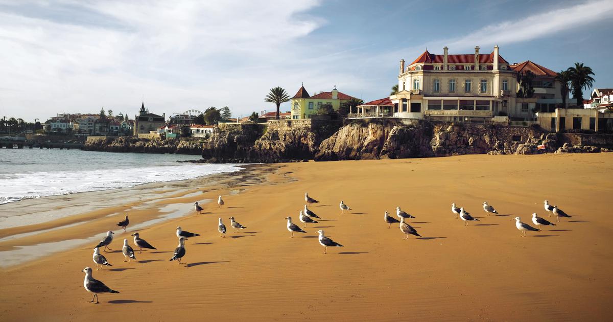 Cinq raisons de découvrir Cascais, près de Lisbonne