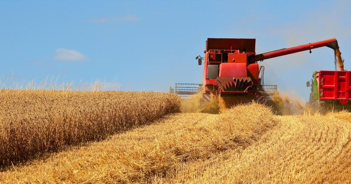 La valeur de la production agricole rebondit fortement en 2021