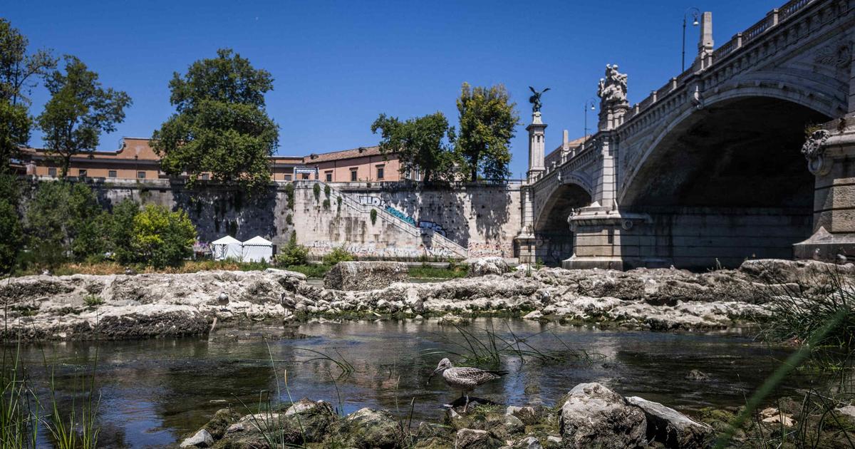 À Rome, les vestiges du pont de Néron affleurent et témoignent des ...