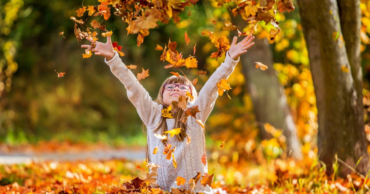 Que faire au jardin avec son enfant en automne