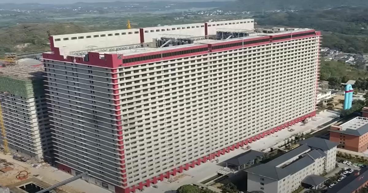La Chine ouvre le plus grand hôtel à cochons du monde