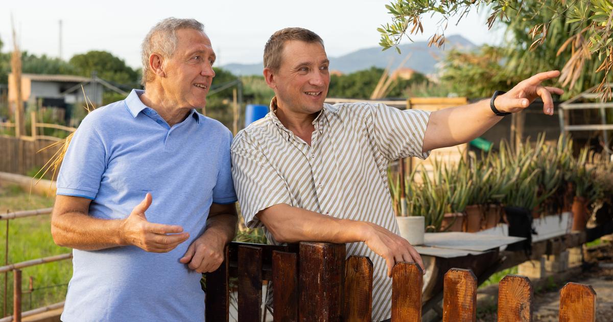 Buying a plot of land from a neighbor, is it possible? - The Limited Times