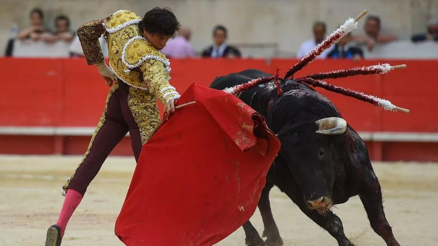 La semaine du FigaroVox - «S'étriper pour ou contre la corrida, était ...