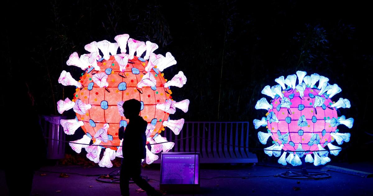 Covid-19 : quel est ce sous-variant BQ.1.1, à l'origine de la neuvième vague