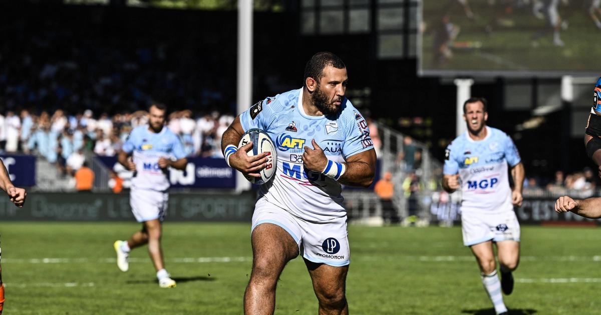 Rugby : Pascal Cotet, pilier de Bayonne, condamné pour violences contre ...