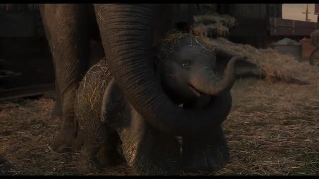 De Dumbo à The Last of Us, l'irrésistible ascension de Nico Parker, 18 ...