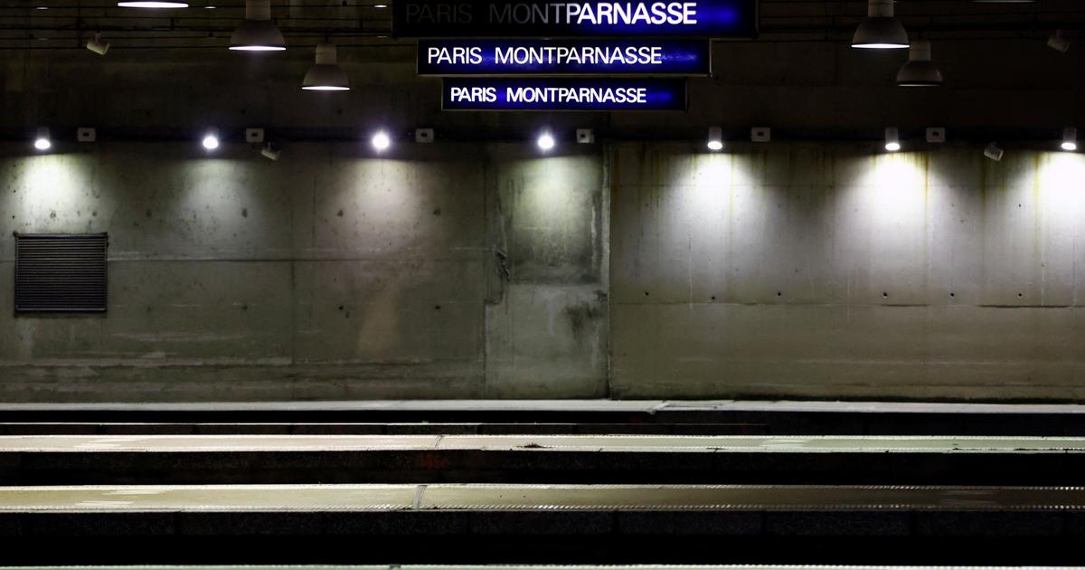 Chat écrasé à la gare Montparnasse : la Fondation 30 millions d'amis ...