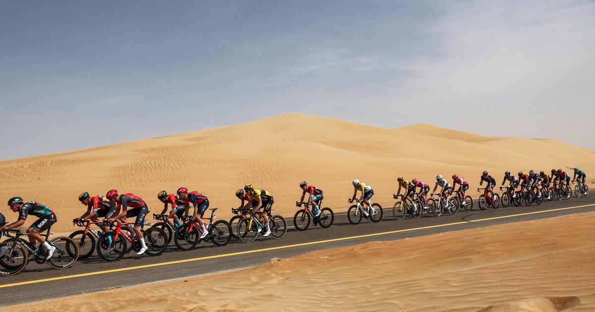 Cyclisme : la Quick-Step remporte la 2e étape de l'UAE Tour et place ...