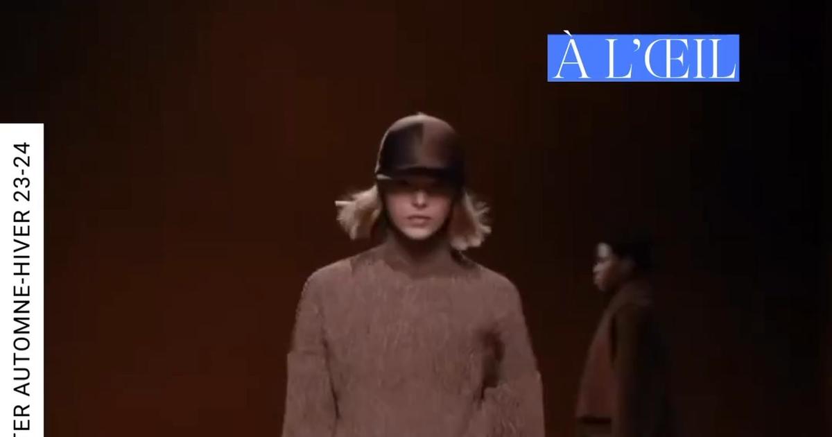 The Fake Birkin Slayer, ce mystérieux justicier qui débusque les faux ...