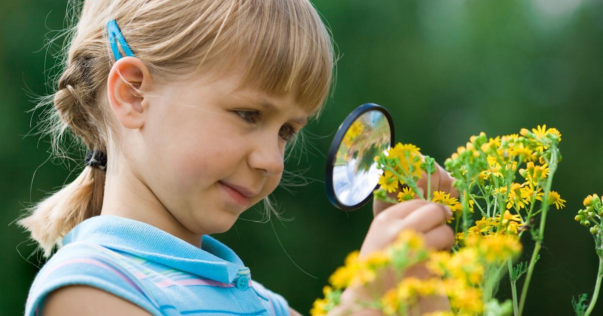 Savez-vous décrire une fleur avec le bon vocabulaire