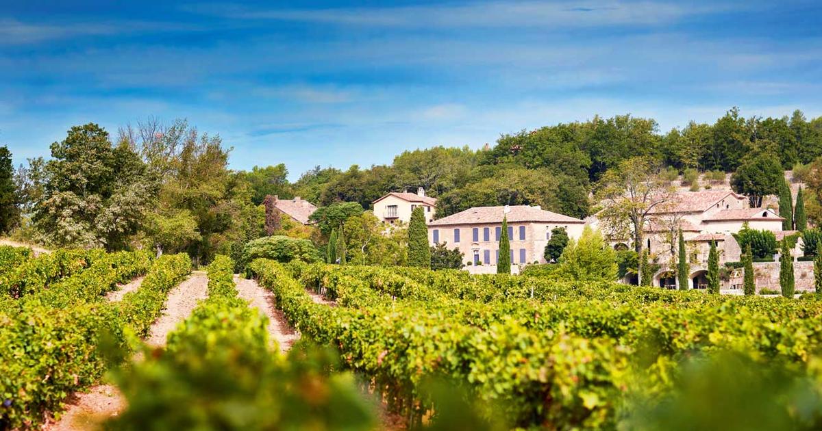 Notre classement des 33 vignobles les plus désirables de Provence