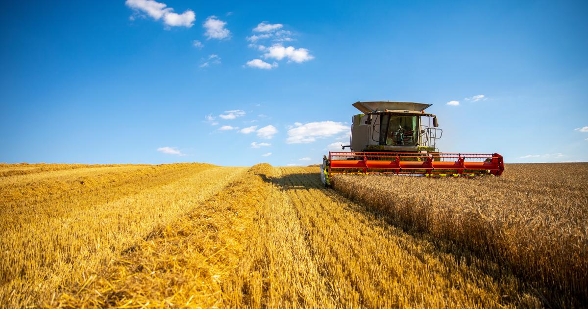 L'accès aux engrais déterminant pour continuer d'augmenter la ...