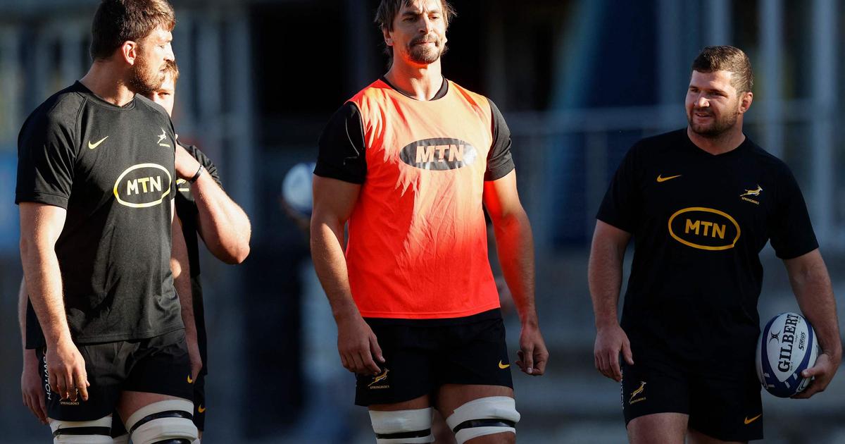 Rugby championship : retour des Springboks Etzebeth et Kolbe pour ...