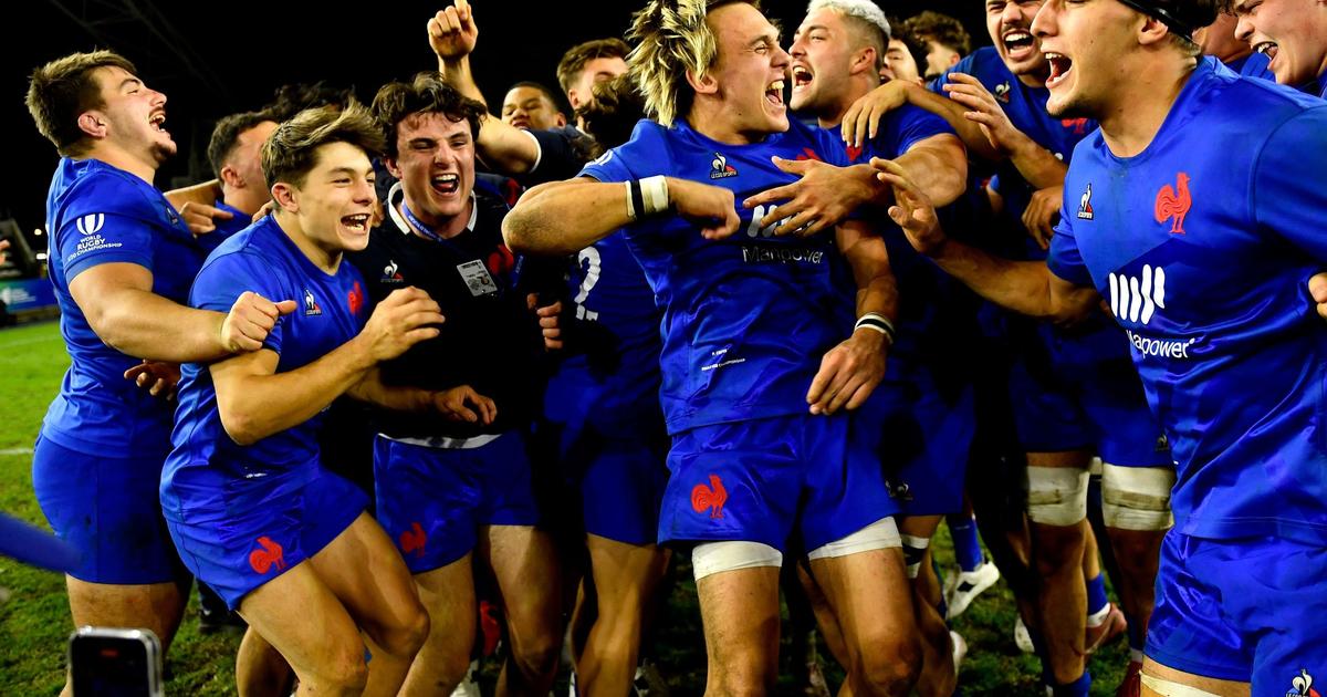 Rugby : la troisième ligne souveraine, McCarthy en difficulté... Les ...