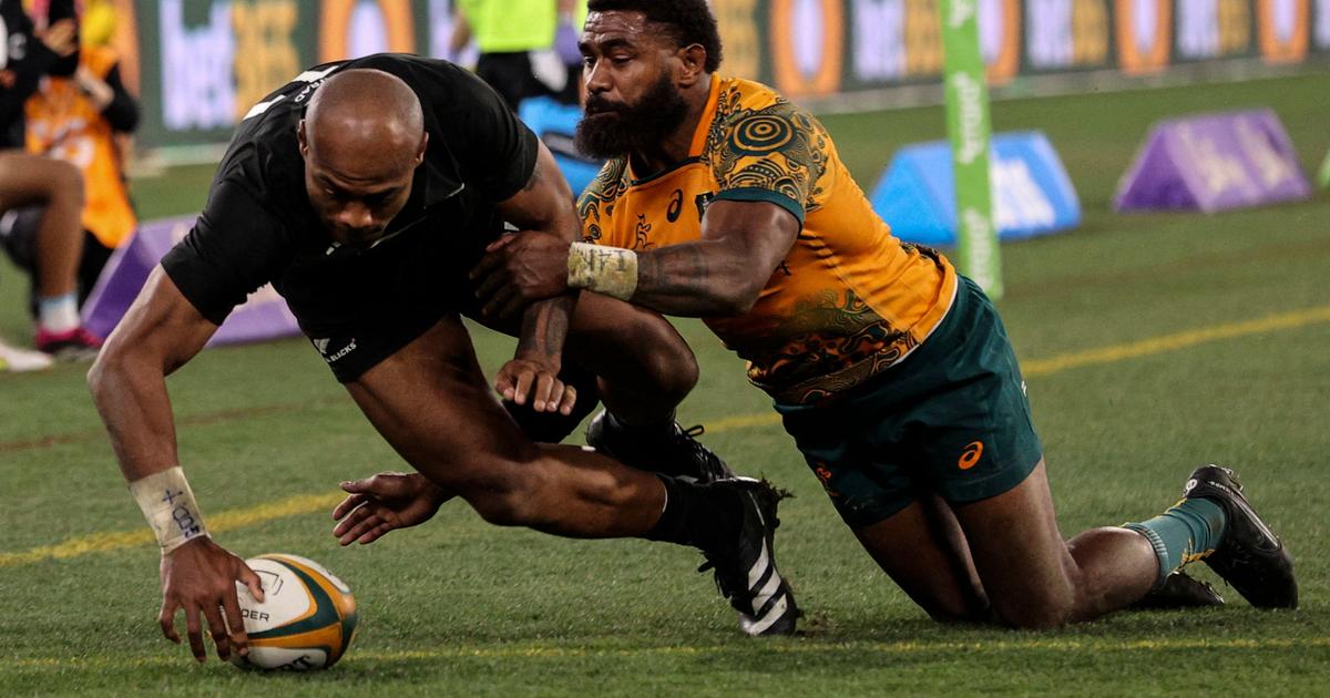 Rugby Championship : en vidéo, le résumé de la promenade des All Blacks ...