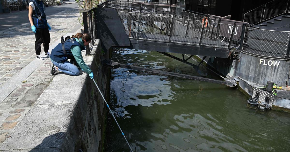 JO 2024 : la compétition test de natation en eau libre menacée par la ...